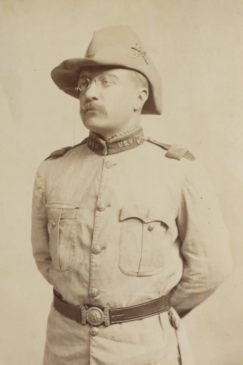 Print: Theodore Roosevelt, Three-Quarter Length Portrait, Hands Behind ...