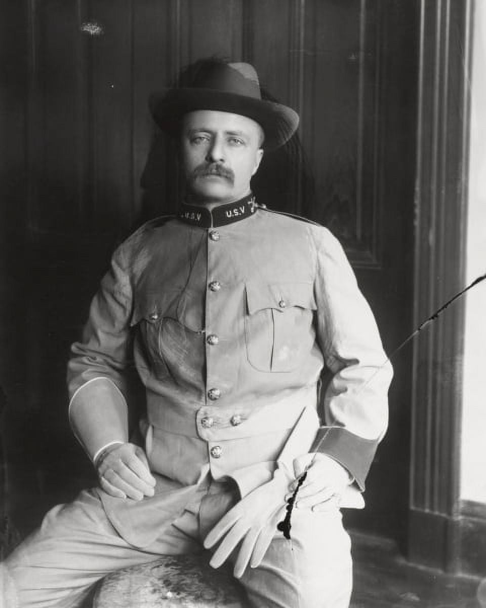 Print: Theodore Roosevelt, Three-Quarter-Length Portrait, Seated ...
