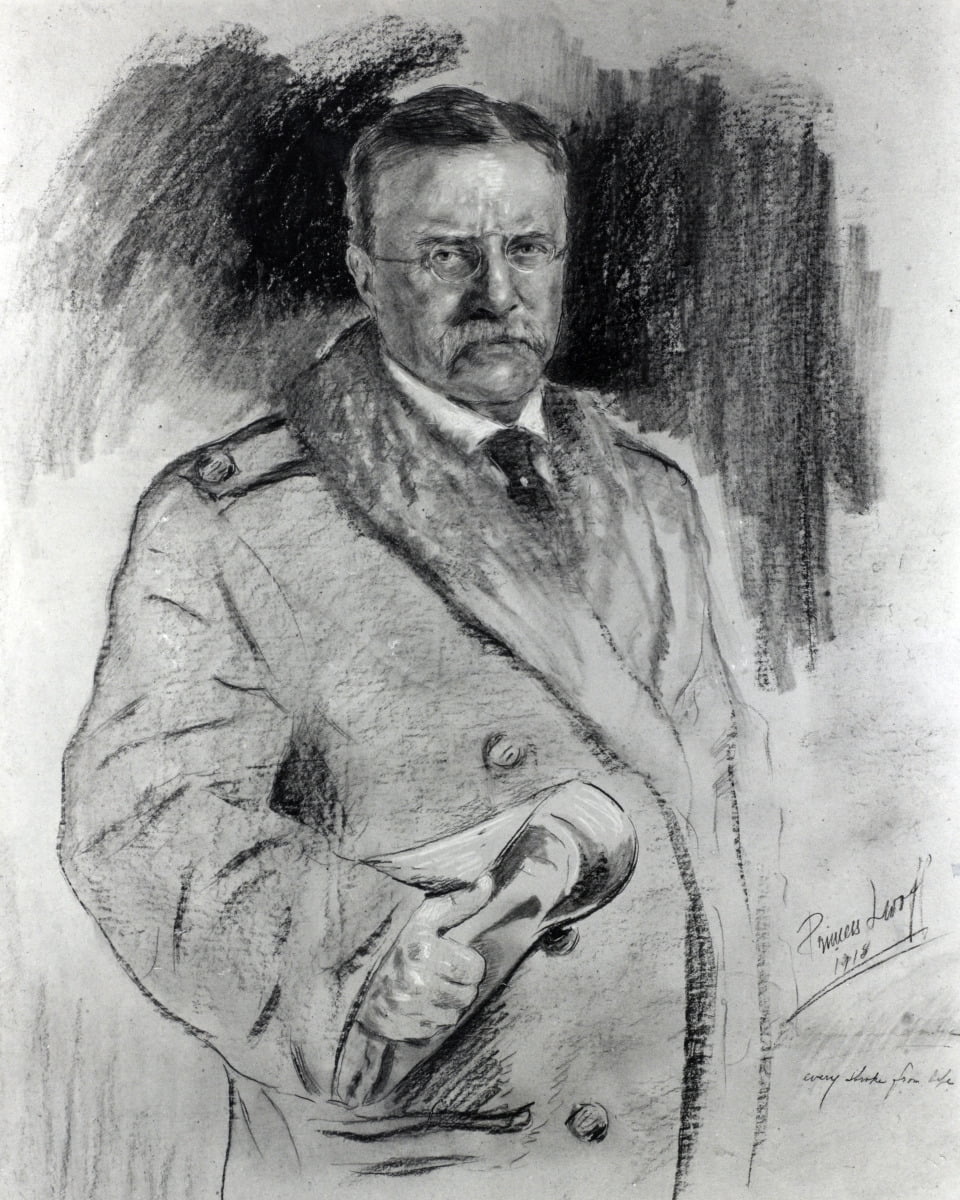 Print: Theodore Roosevelt, Three-Quarter Length Sketch Portrait ...