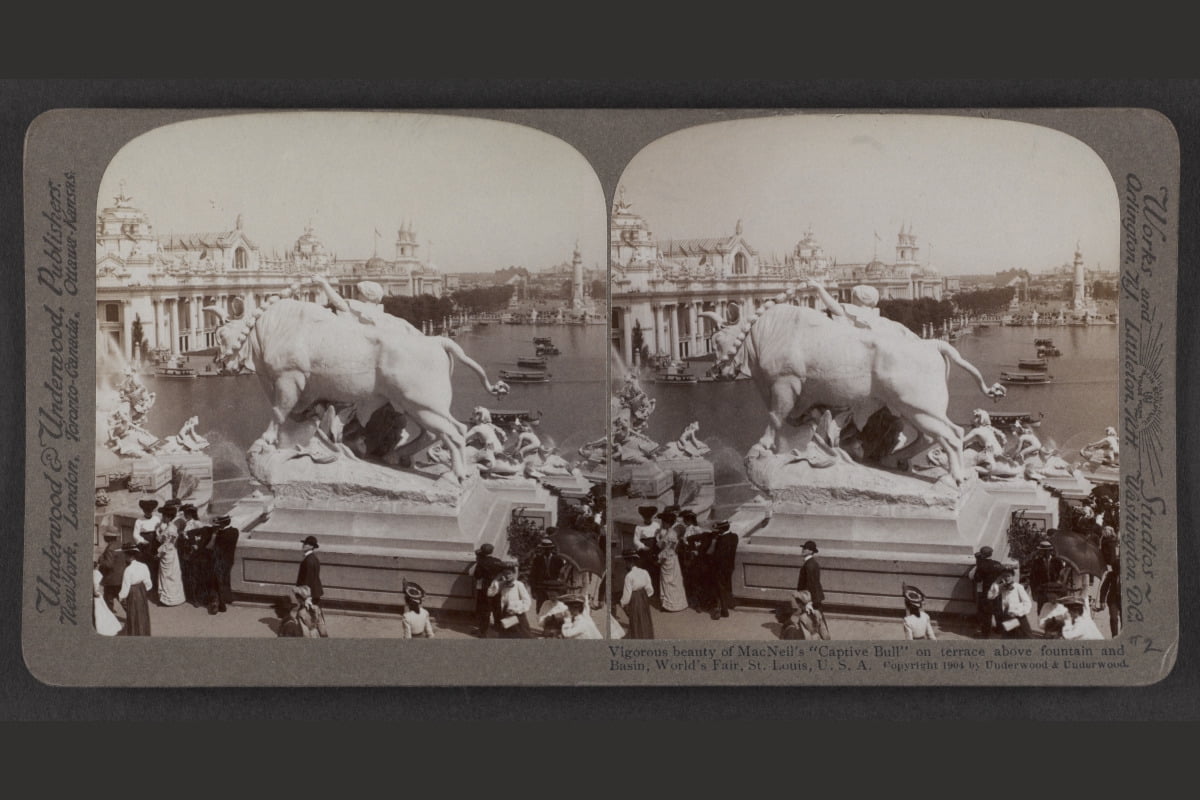 Print: View 1, Vigorous Beauty Of Macneil's Captive Bull On Terrace ...