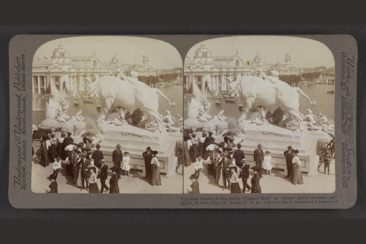 Print: View 2, Vigorous Beauty Of Macneil's Captive Bull On Terrace ...