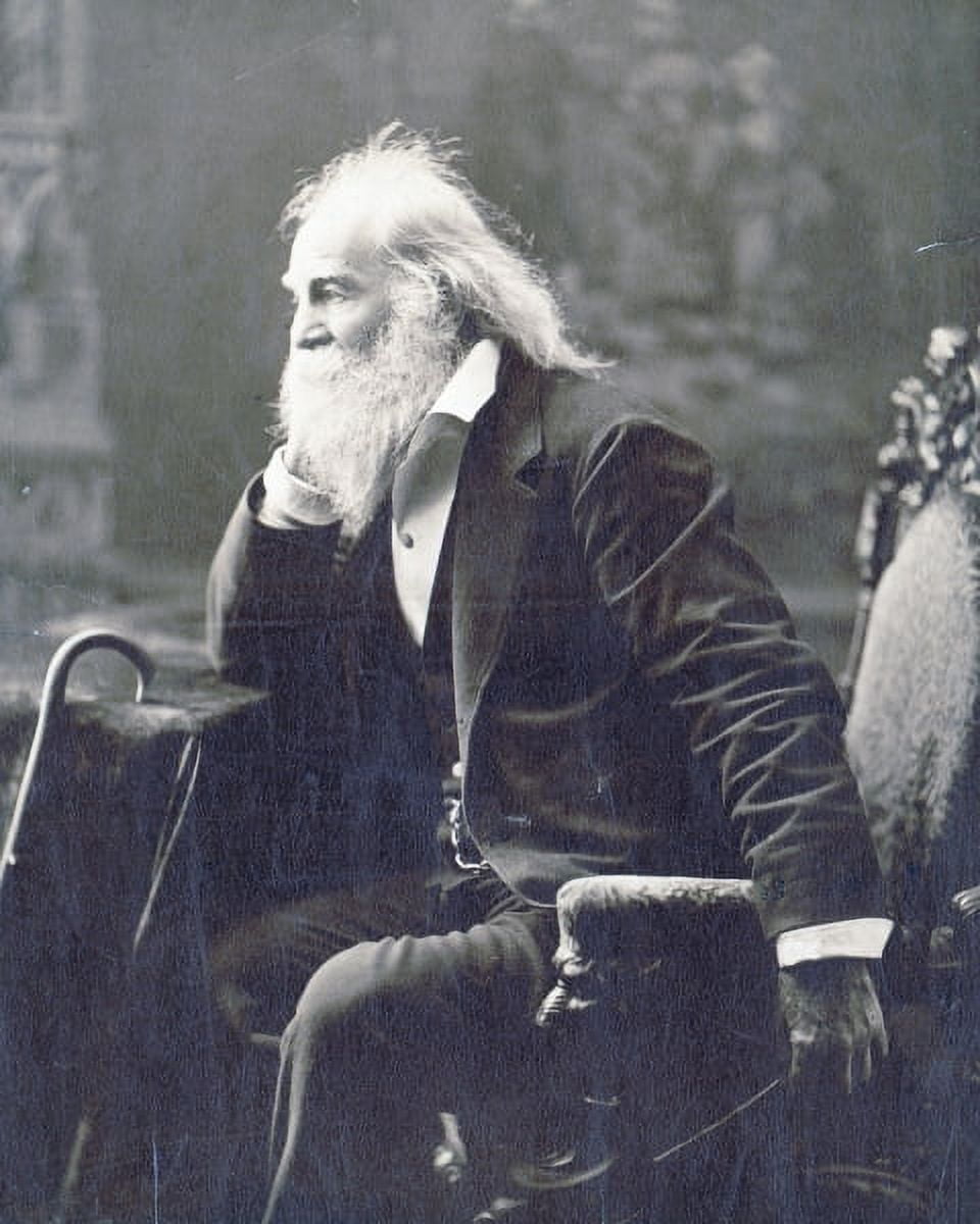 Print: Walt Whitman, Three-Quarter-Length Portrait, Seated, Facing Left ...