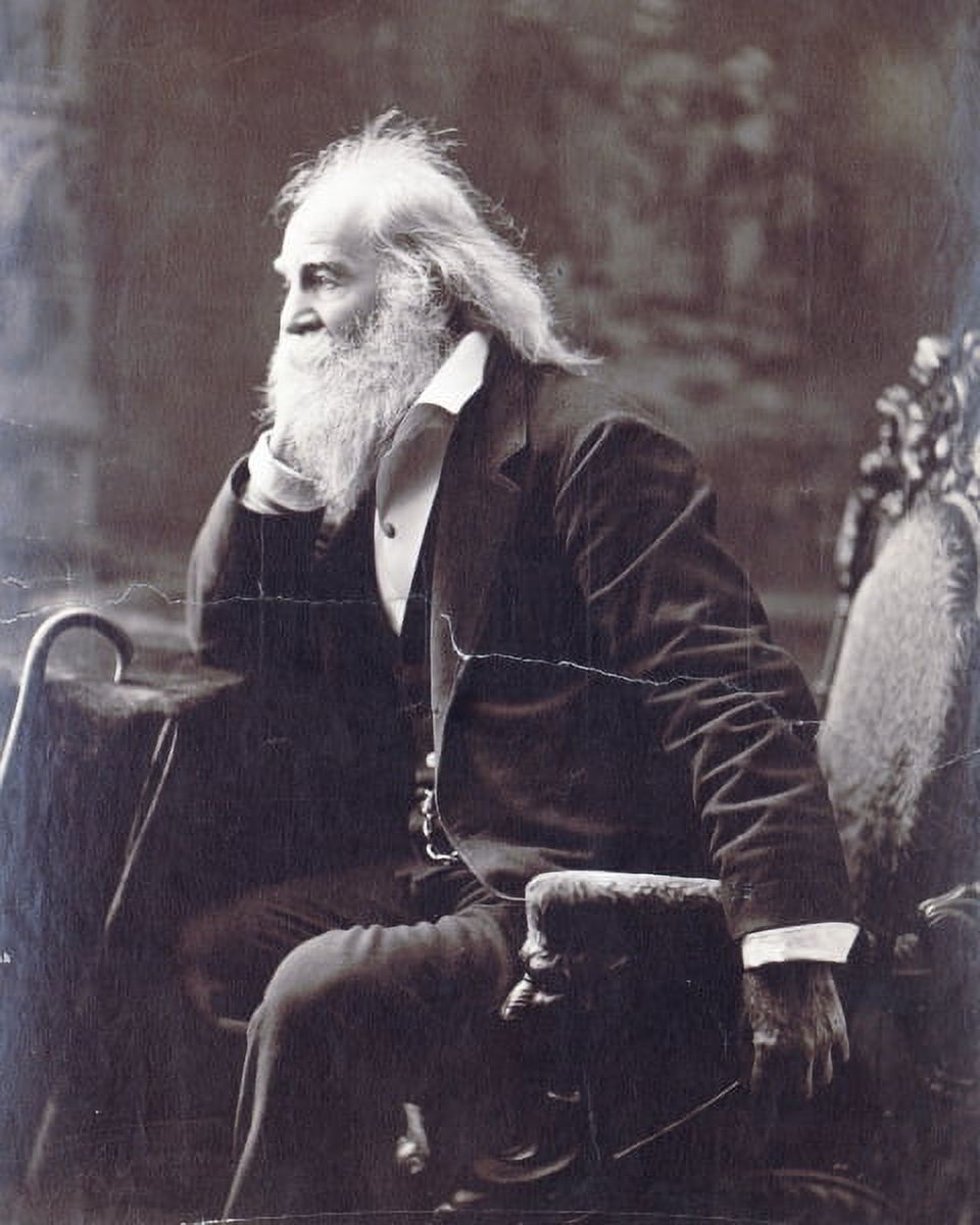 Print: Walt Whitman, Three-Quarter-Length Portrait, Seated, Facing Left ...