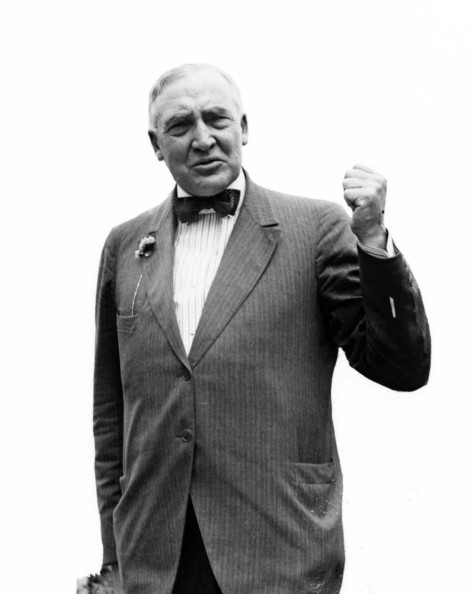 Print: Warren G. Harding, 1920 - Walmart.com