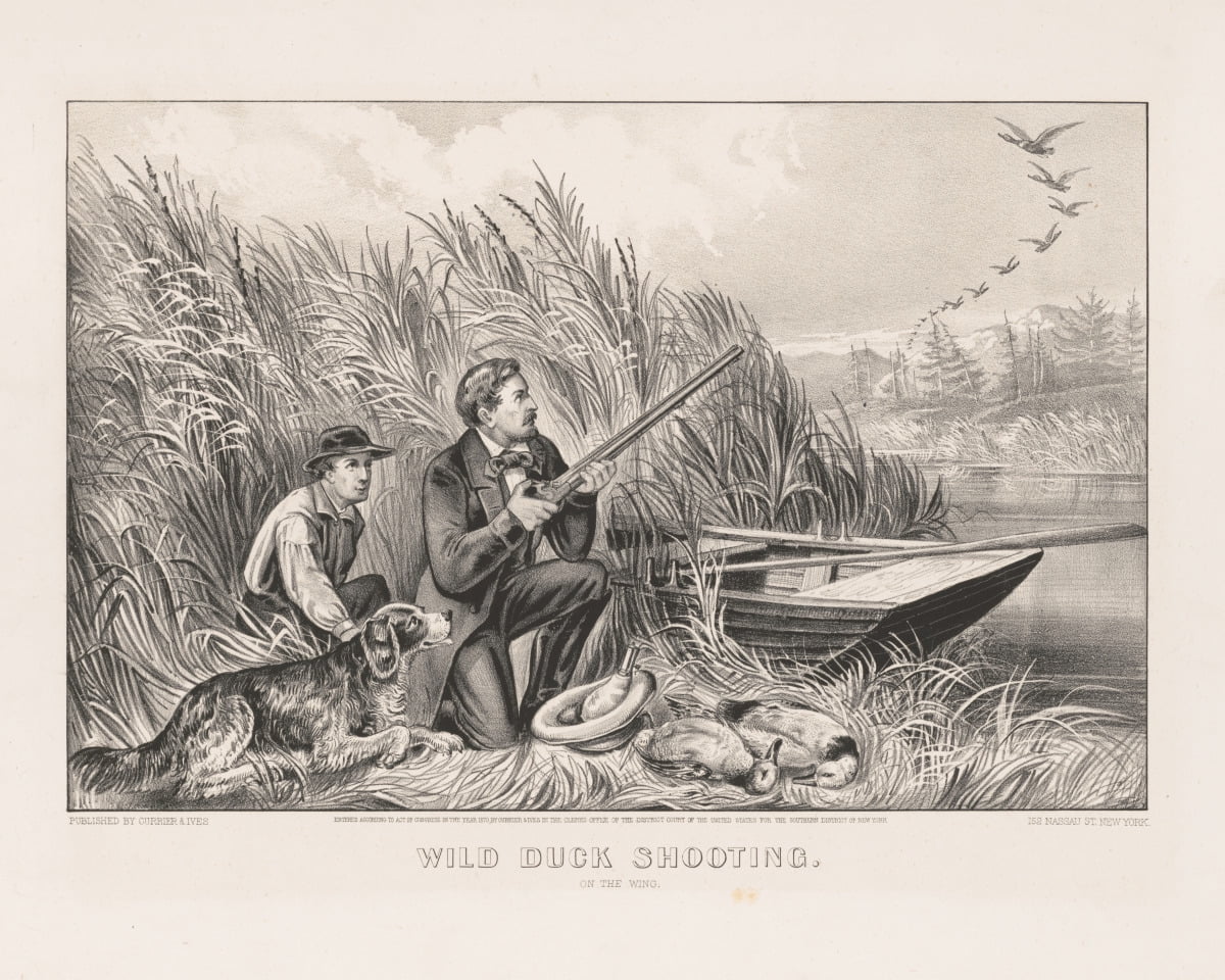 Print: Wild Duck Shooting: On The Wing, 1870 - Walmart.com