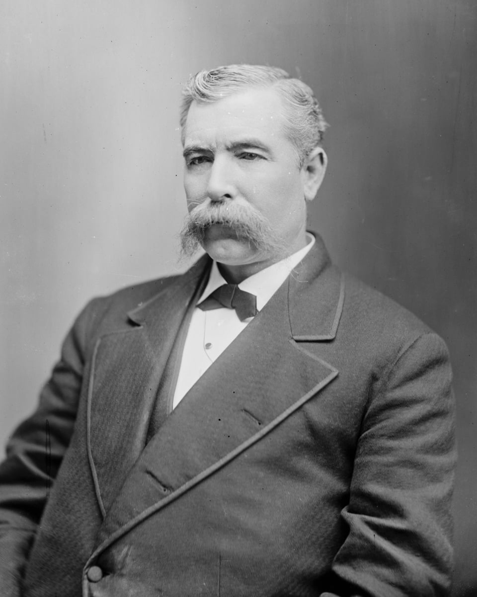 Print: Young, Hon. Thomas Lowry Of Ohio, circa 1865 - Walmart.com