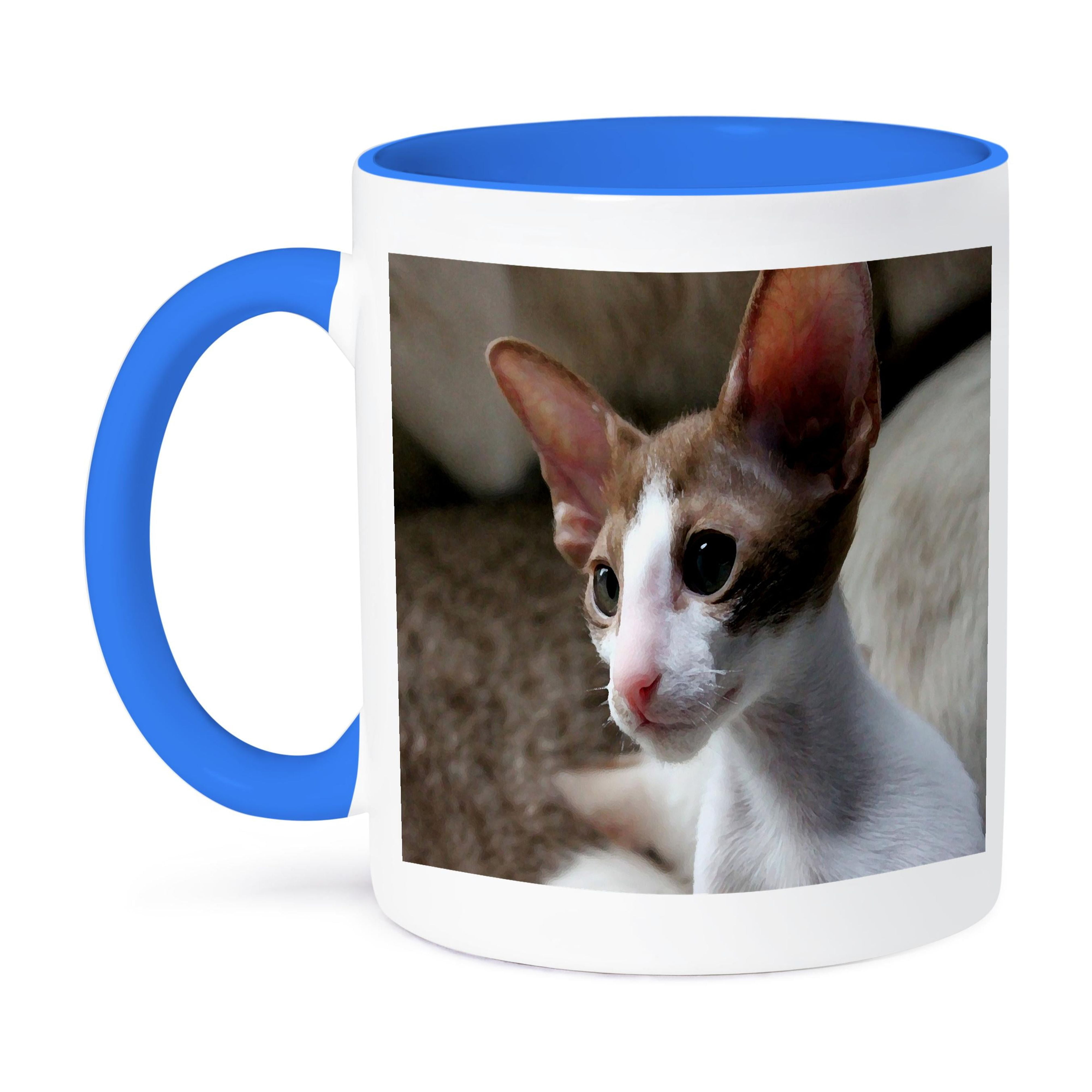 3dRose, Print of Oriental Shorthair Cat Painting, 15oz Two-Tone Blue ...