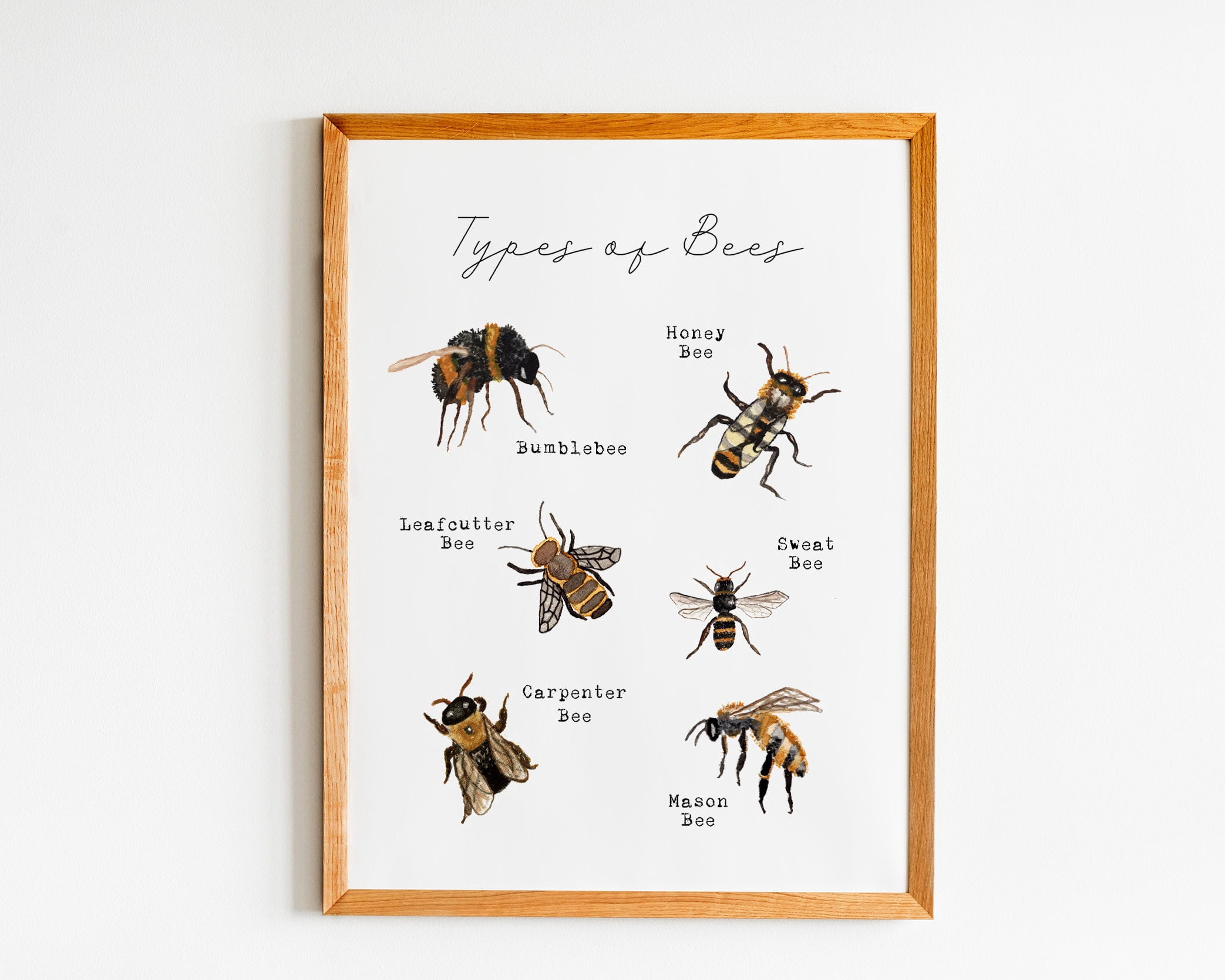 Printable Bee Art Print - Types of Bees Poster - Bug Print - Homeschool ...