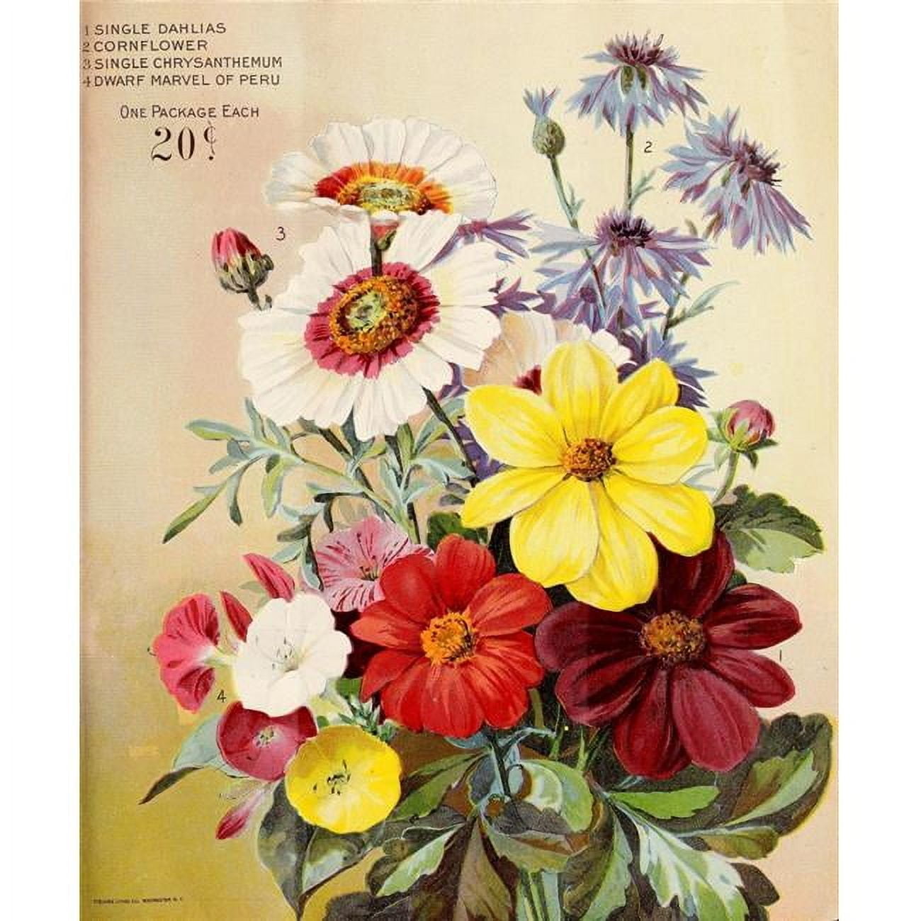 Printable Heaven Wm. Elliott & Sons Catalogue 1898 Flowers Poster Print ...