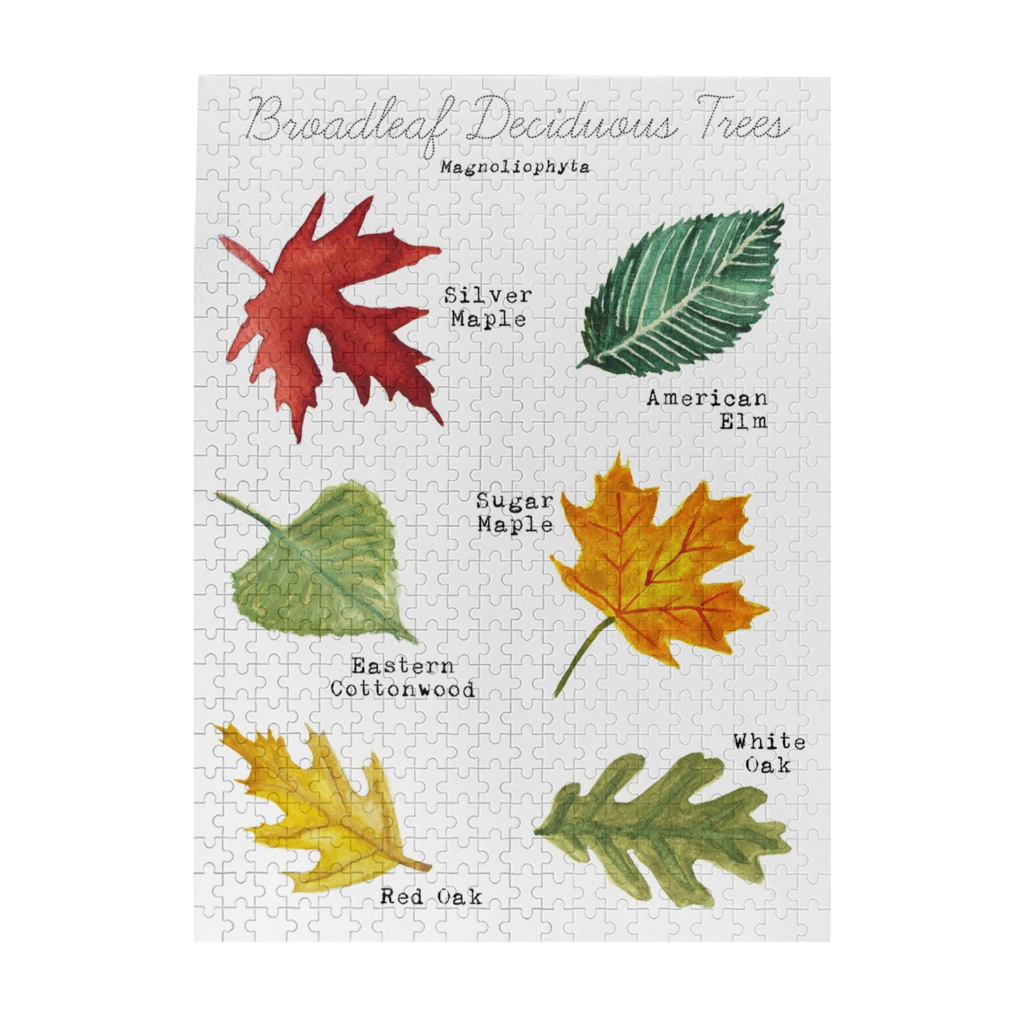 Printable Leaf Art - Leaf Identification - Leaf Print Wall Art - Tree ...
