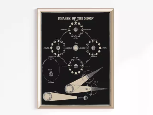Printable Phases Of The Moon Wall Art Vintage Moon Poster NO FRAMED ...