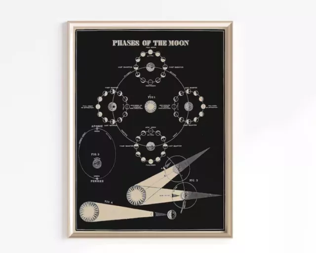 Printable Phases Of The Moon Wall Art Vintage Moon Poster Lunar Prints ...