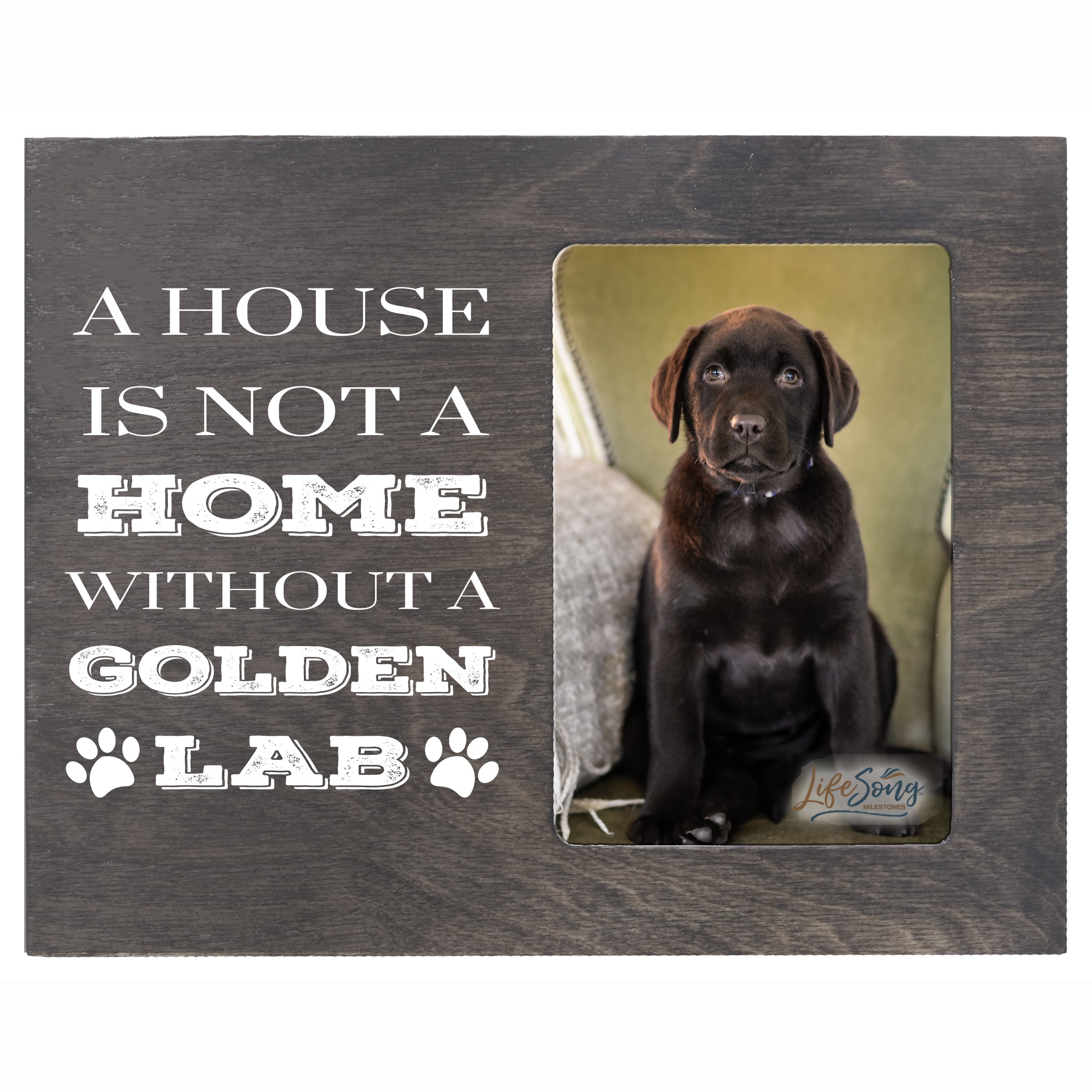 Printed Labrador Retriever Photo Frames - A House Golden Lab - Walmart.com