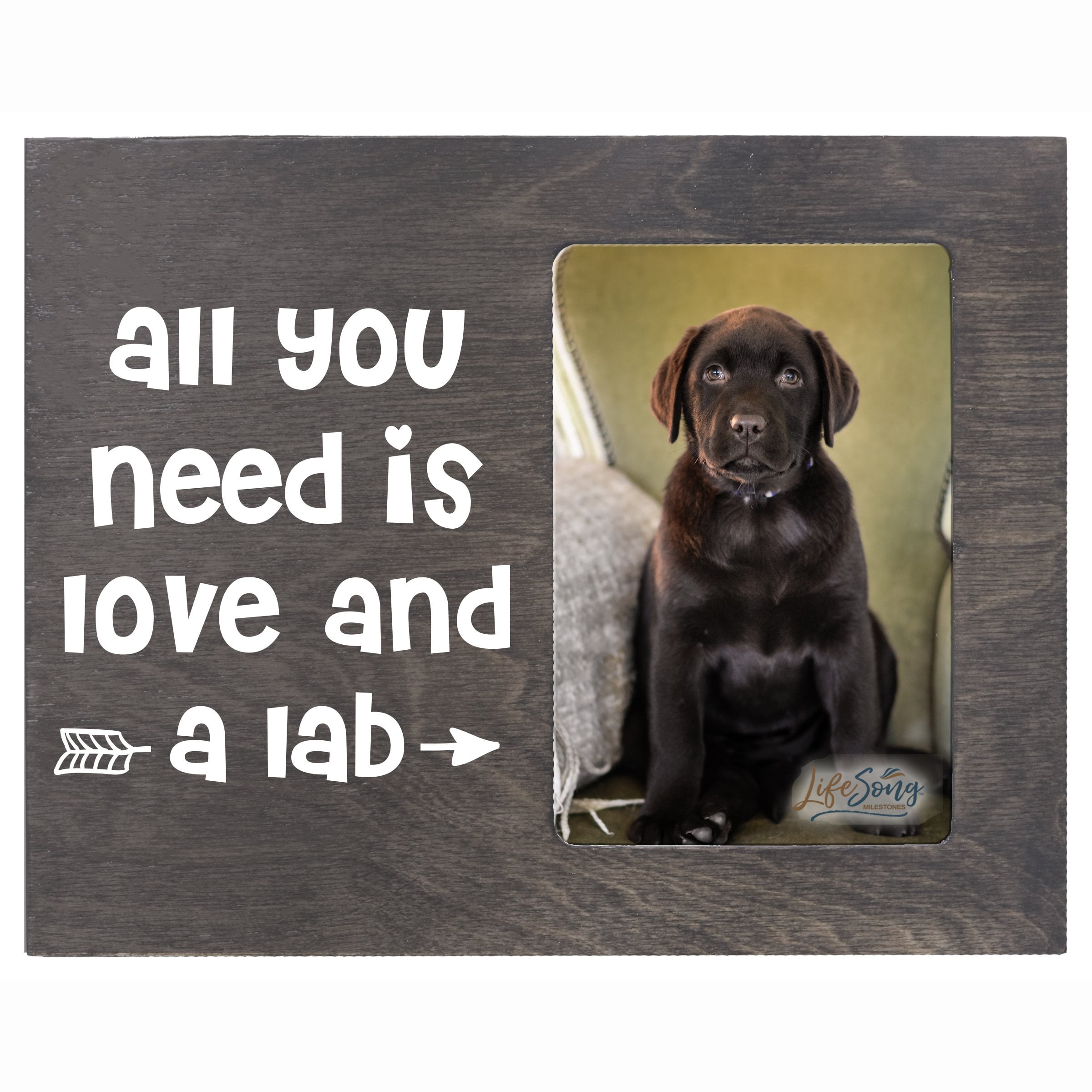 Printed Labrador Retriever Photo Frames - All You Need Arrow - Walmart.com