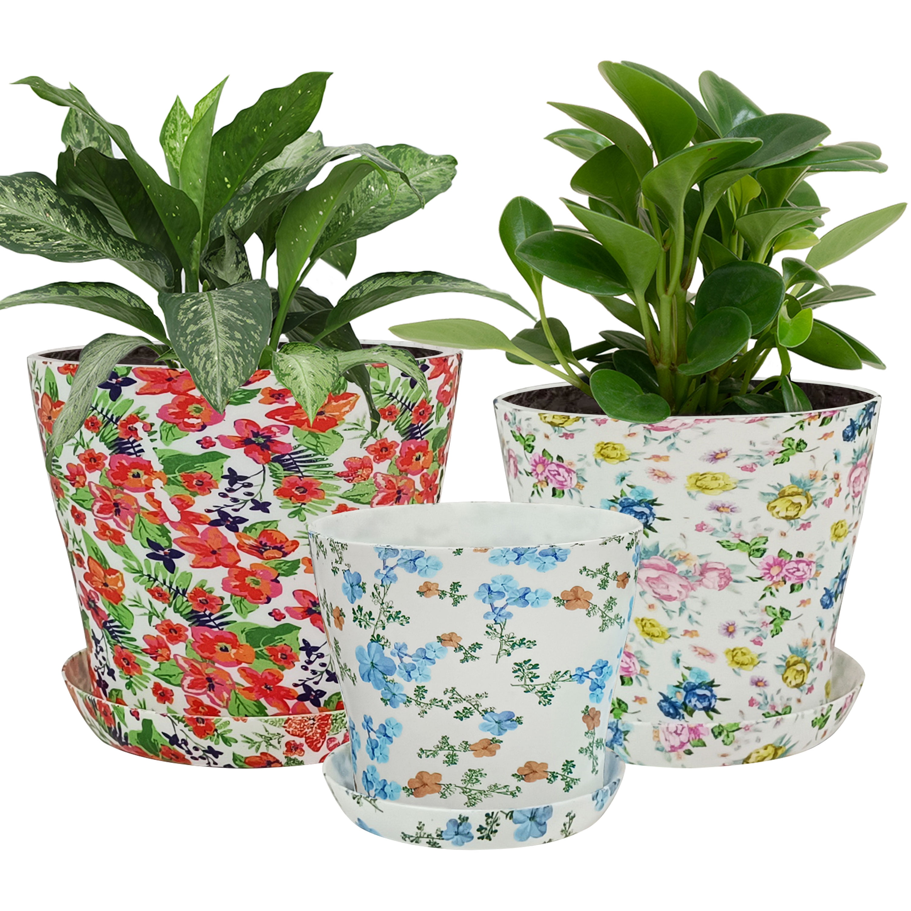 Printed Plant Pots Diam 4.7/5.4/6.5inch, Set of 3 Modern Decorative ...