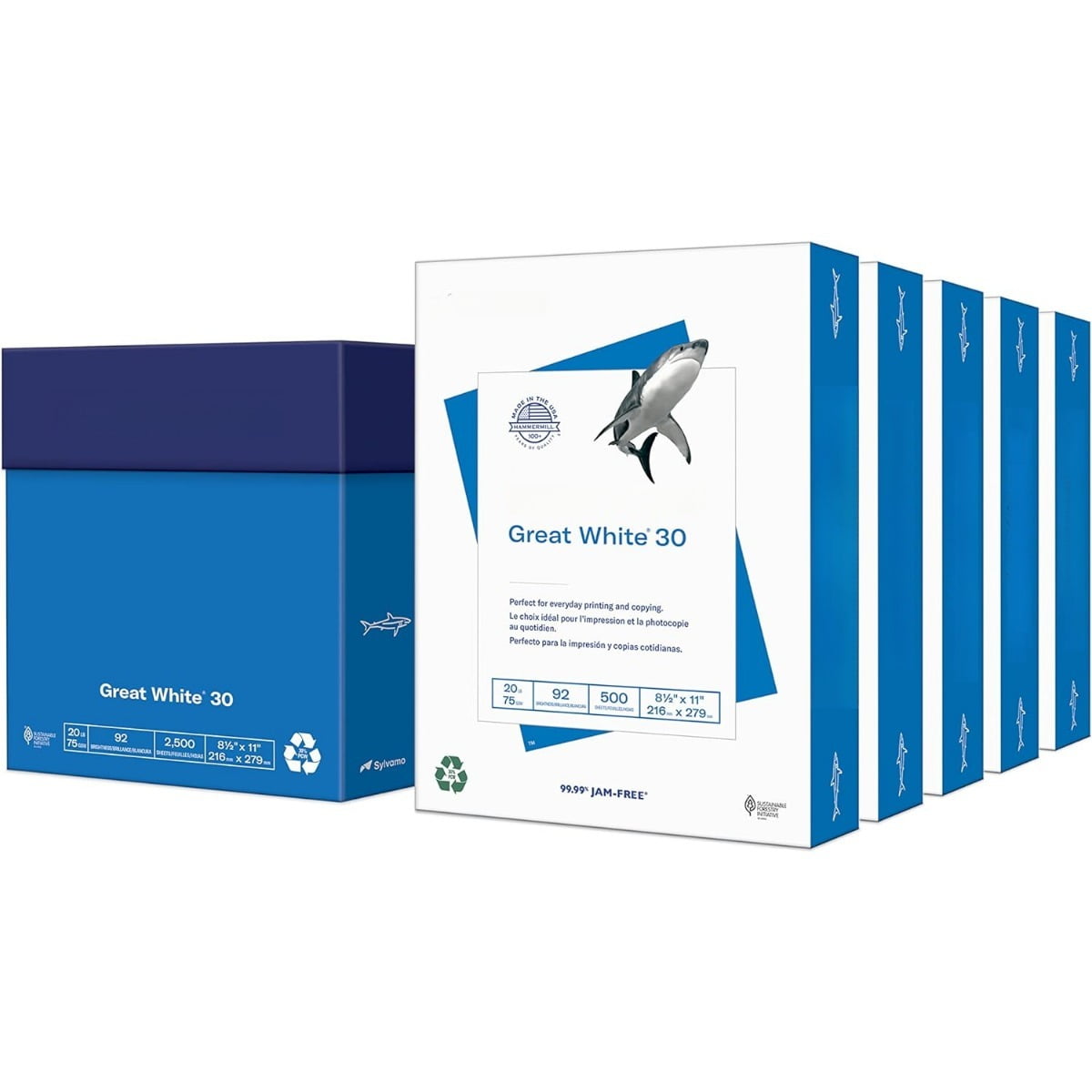 Printer Paper, Great White 30% Recycled Paper, 8.5 x 11 - 5 Ream (2,500 ...
