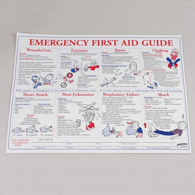 Prinzing Emergency First Aid Guide Laminated Safety Poster (1 Unit ...