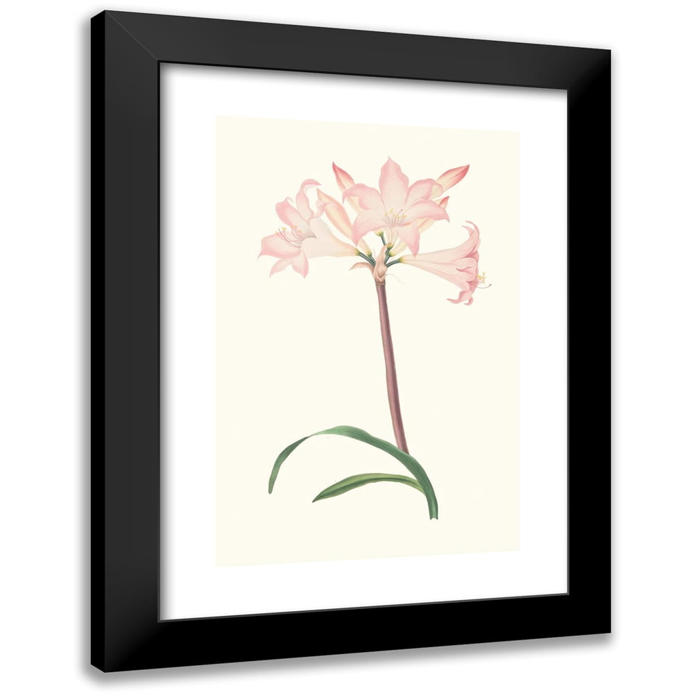 Priscilla Susan Bury 11x14 Black Modern Framed Museum Art Print Titled ...