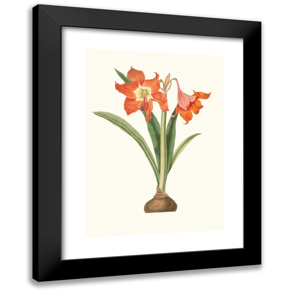 Priscilla Susan Bury 11x14 Black Modern Framed Museum Art Print Titled ...