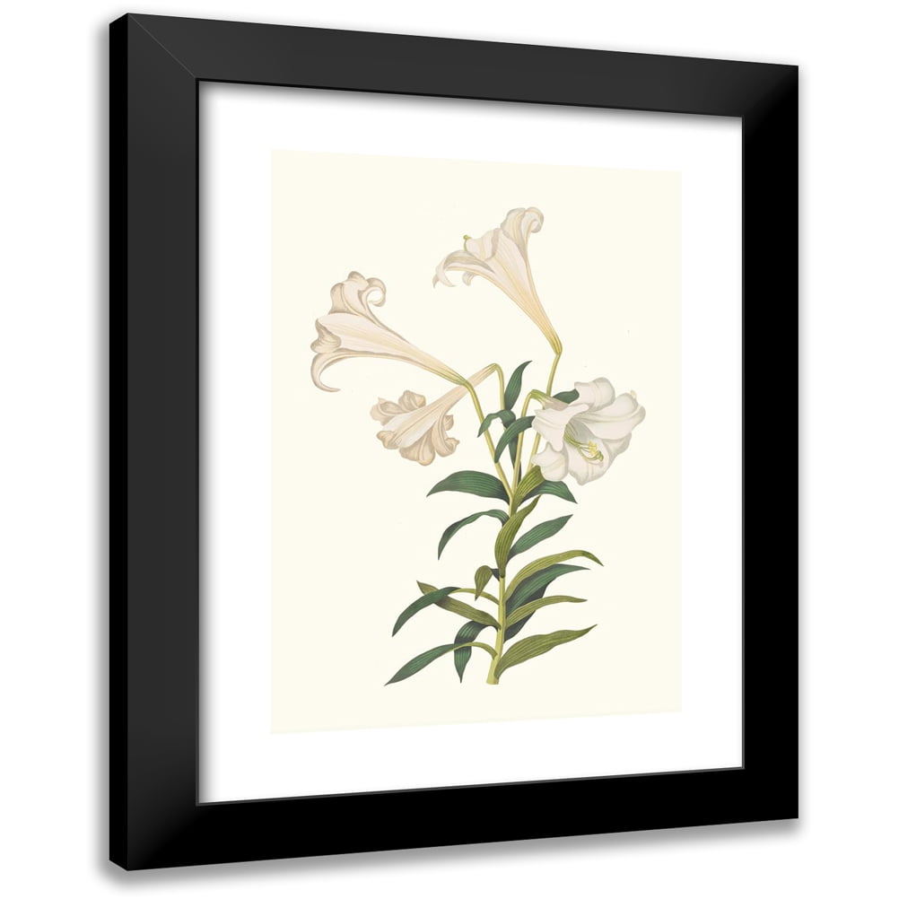 Priscilla Susan Bury 11x14 Black Modern Framed Museum Art Print Titled ...