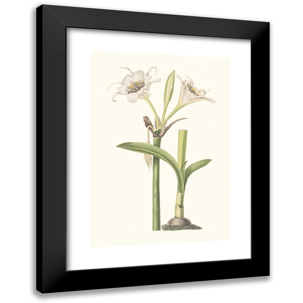 Priscilla Susan Bury 11x14 Black Modern Framed Museum Art Print Titled ...