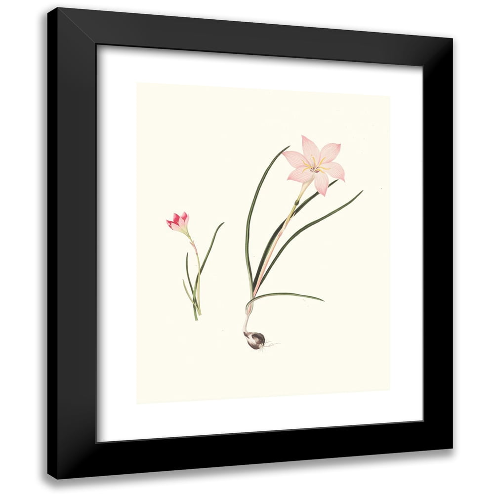 Priscilla Susan Bury 12x14 Black Modern Framed Museum Art Print Titled ...