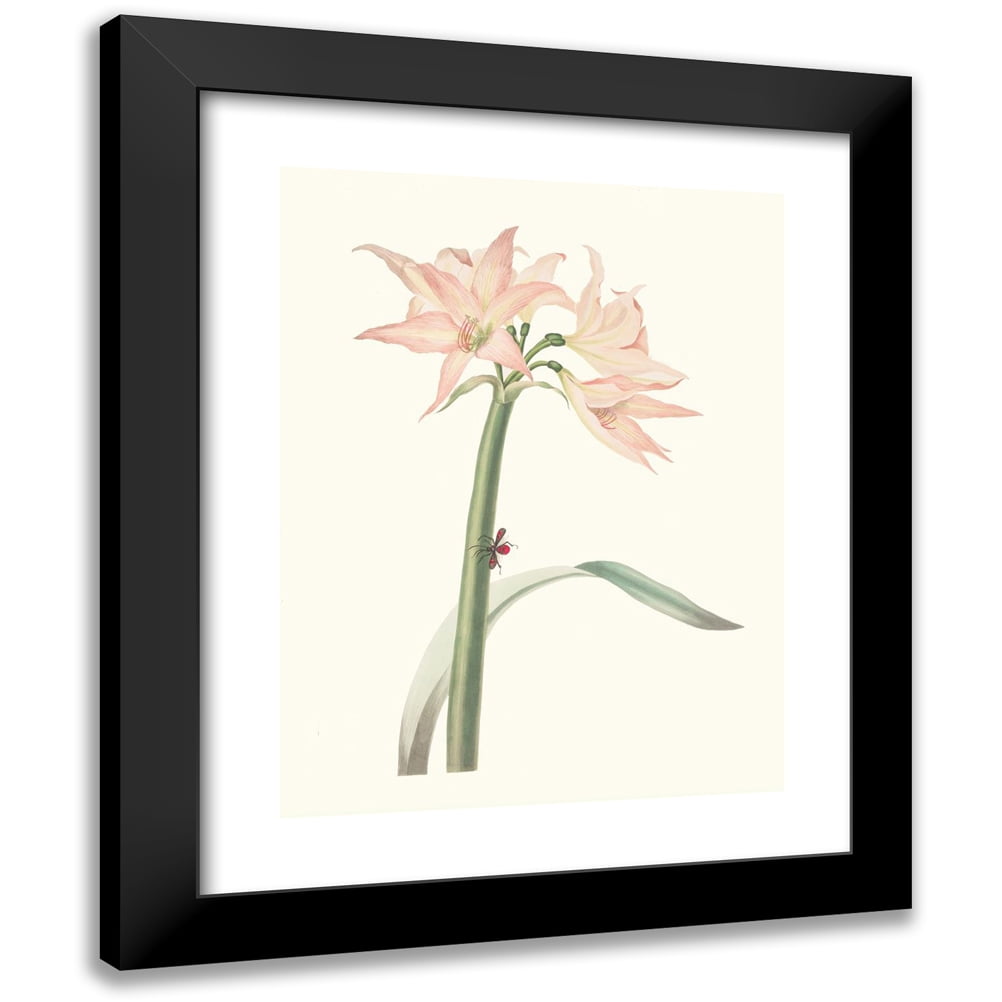 Priscilla Susan Bury 12x14 Black Modern Framed Museum Art Print Titled ...