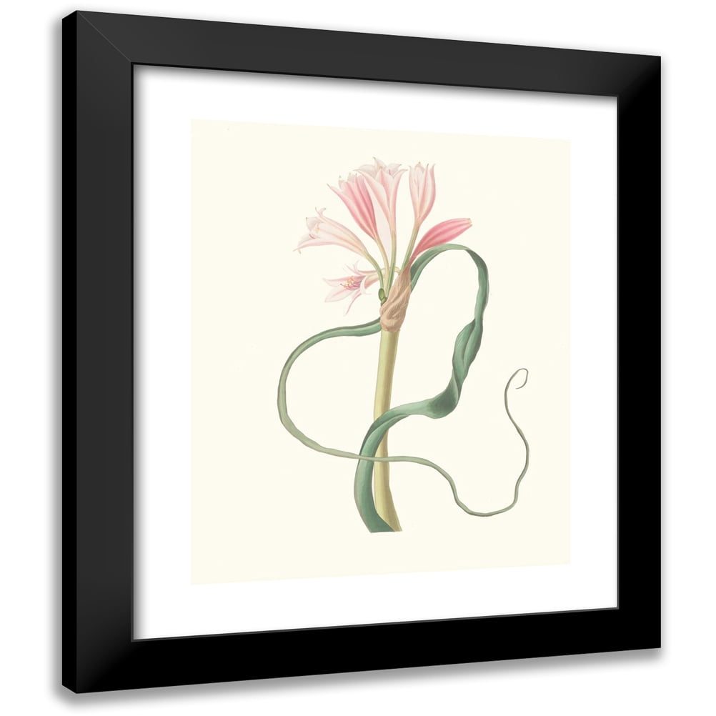 Priscilla Susan Bury 12x14 Black Modern Framed Museum Art Print Titled ...