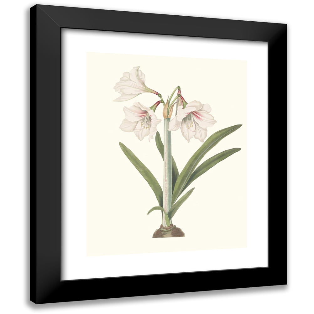 Priscilla Susan Bury 12x14 Black Modern Framed Museum Art Print Titled ...