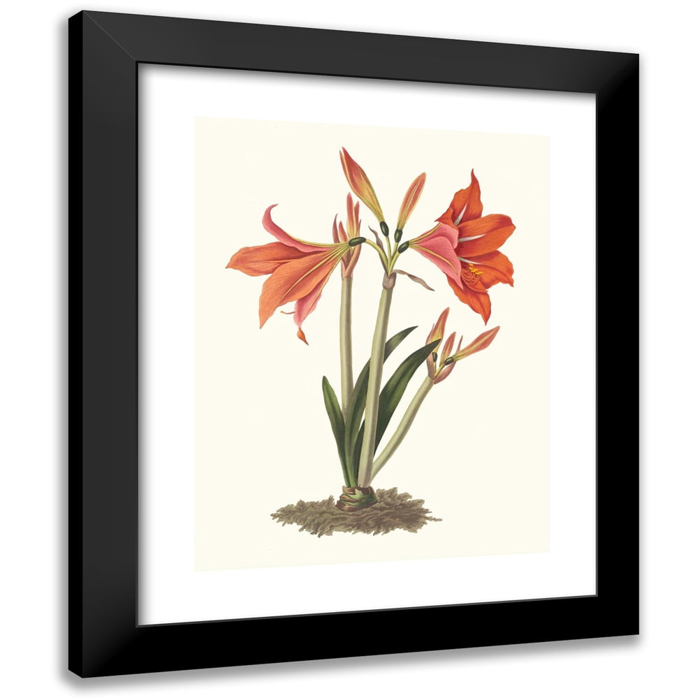 Priscilla Susan Bury 12x14 Black Modern Framed Museum Art Print Titled ...