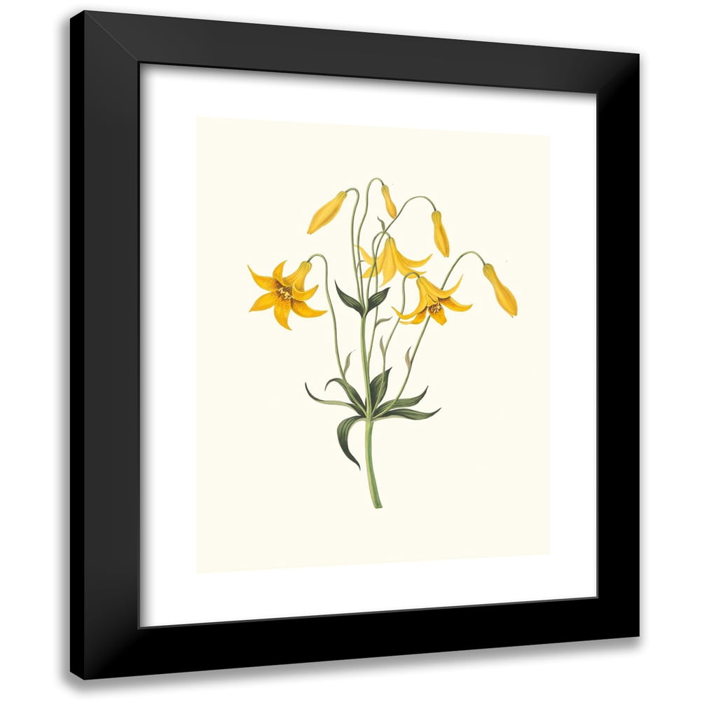 Priscilla Susan Bury 12x14 Black Modern Framed Museum Art Print Titled ...