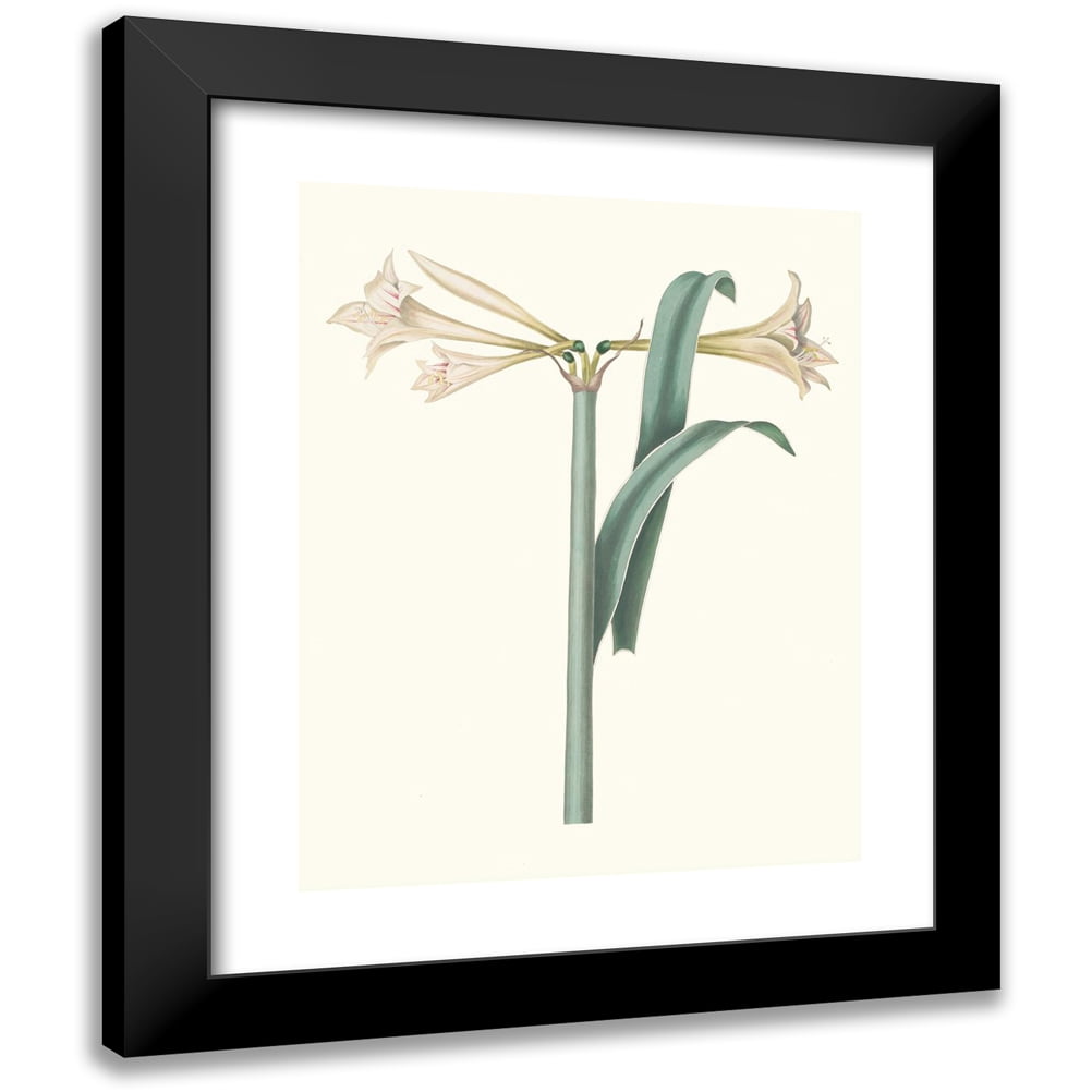 Priscilla Susan Bury 15x18 Black Modern Framed Museum Art Print Titled ...