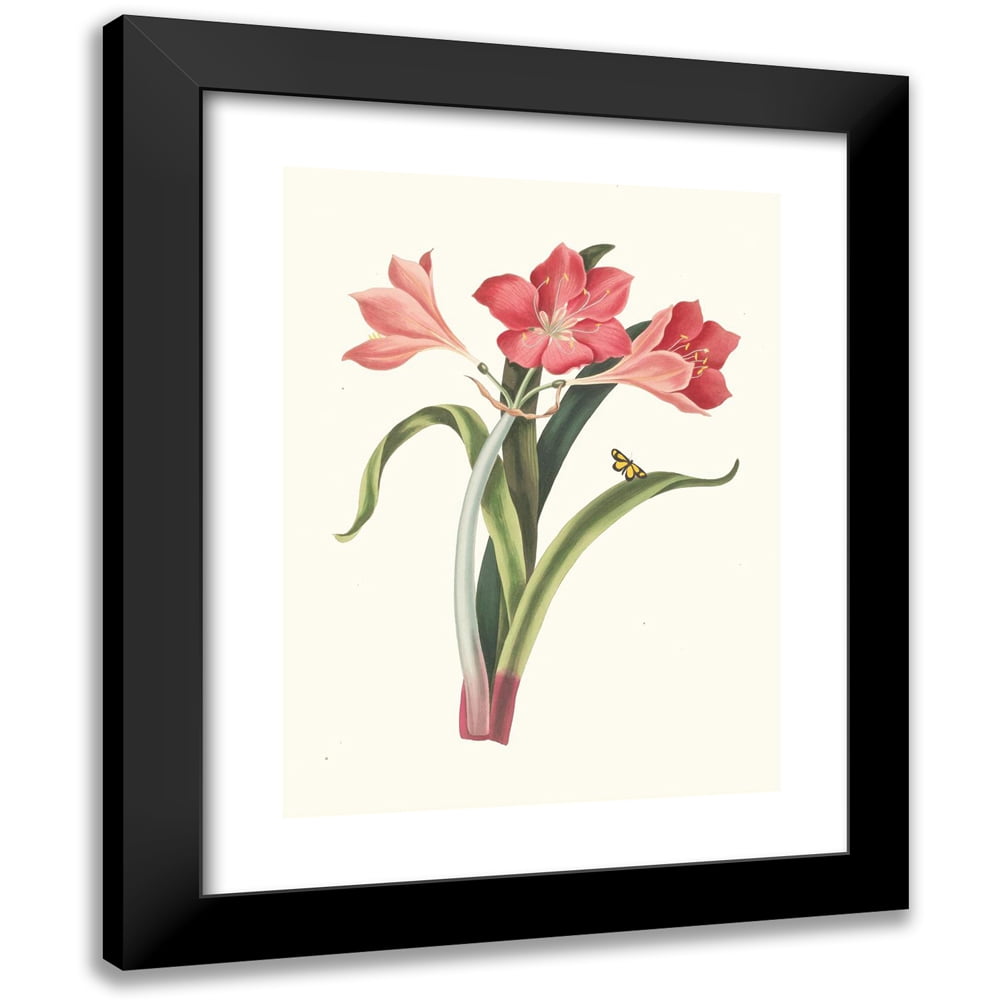 Priscilla Susan Bury 15x18 Black Modern Framed Museum Art Print Titled ...