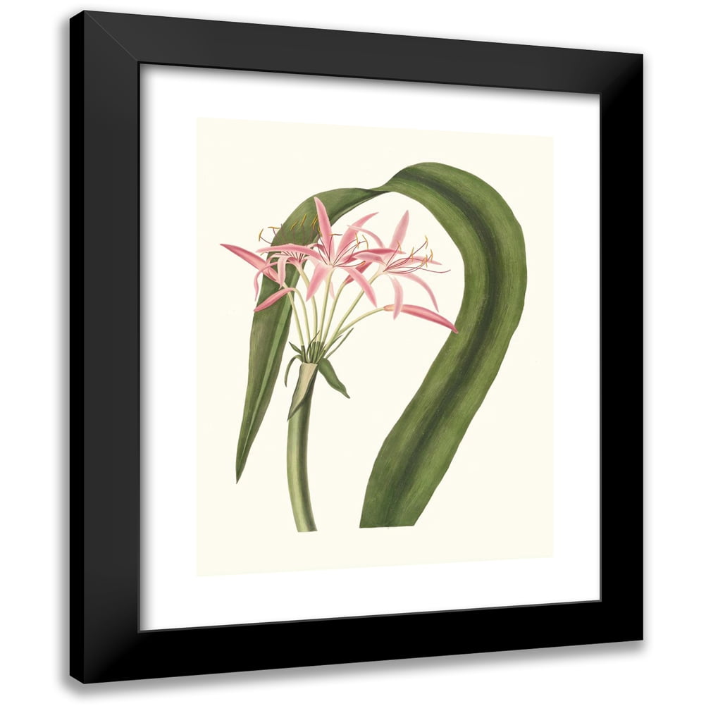 Priscilla Susan Bury 15x18 Black Modern Framed Museum Art Print Titled ...