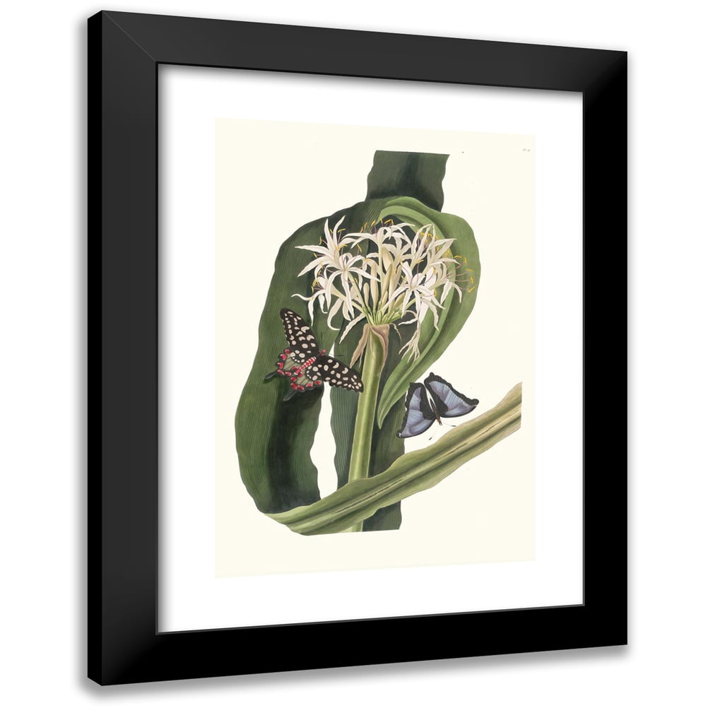 Priscilla Susan Bury 17x24 Black Modern Framed Museum Art Print Titled ...