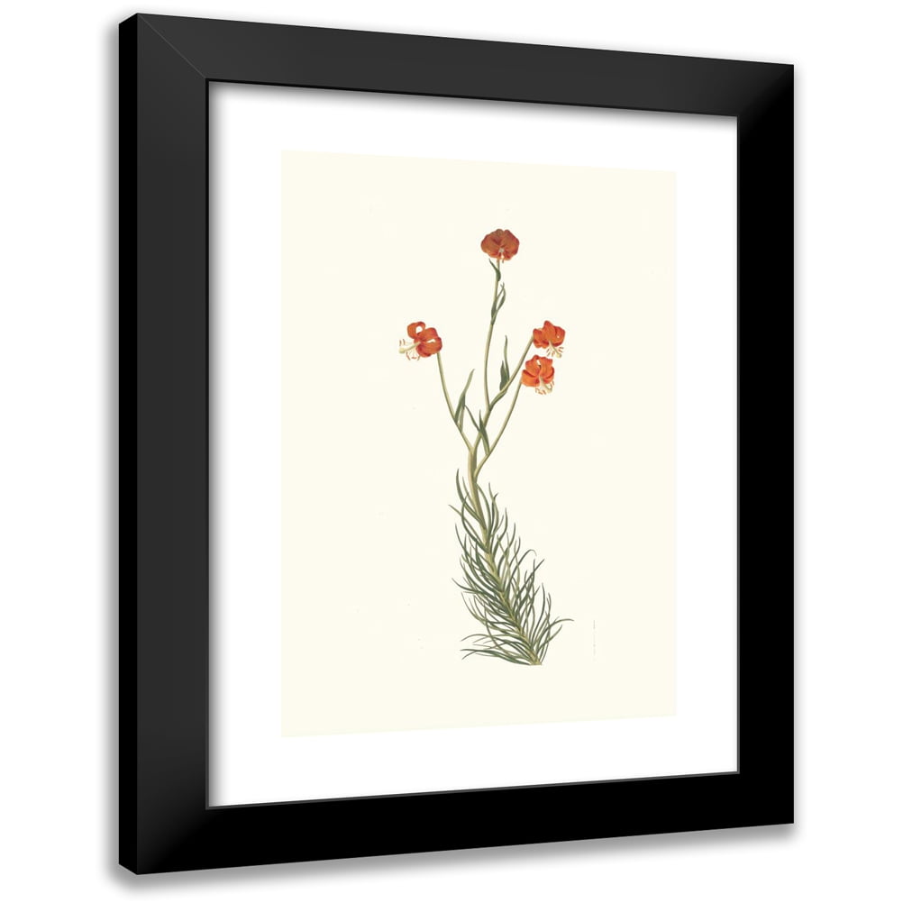 Priscilla Susan Bury 17x24 Black Modern Framed Museum Art Print Titled ...