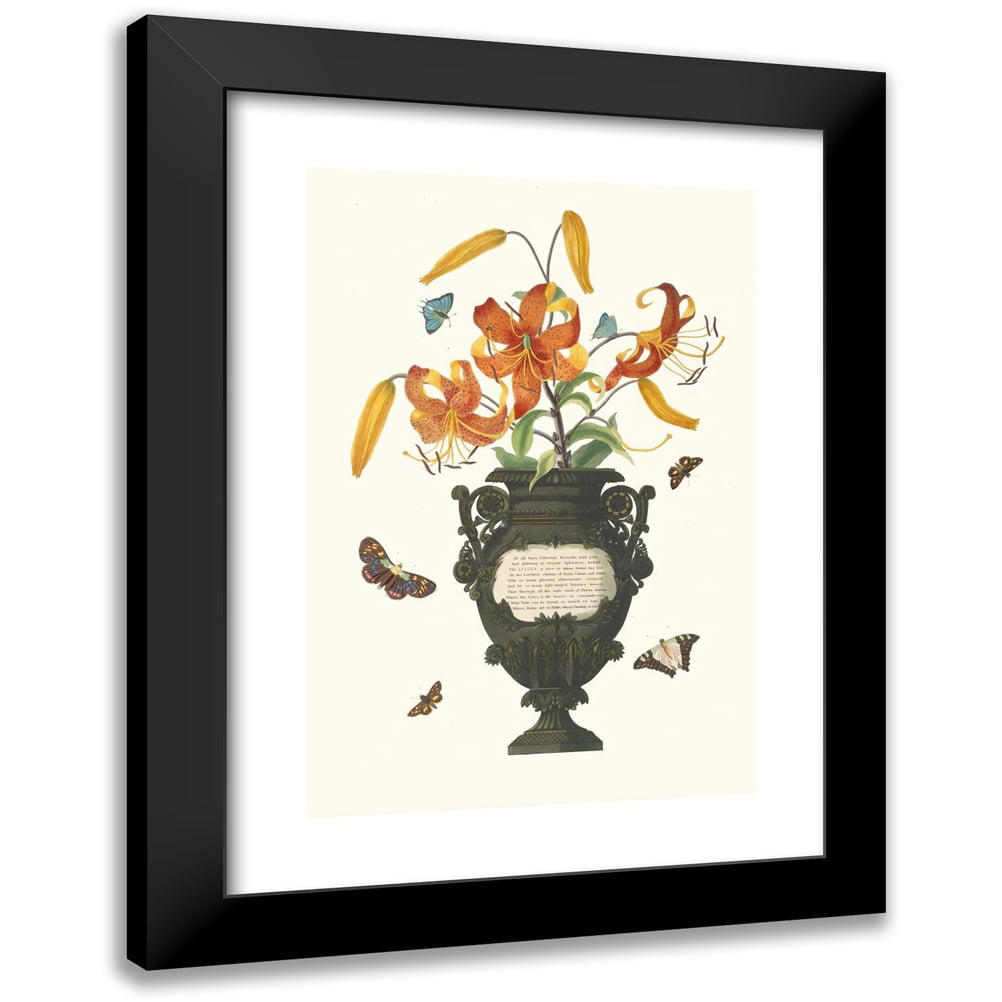 Priscilla Susan Bury 17x24 Black Modern Framed Museum Art Print Titled ...