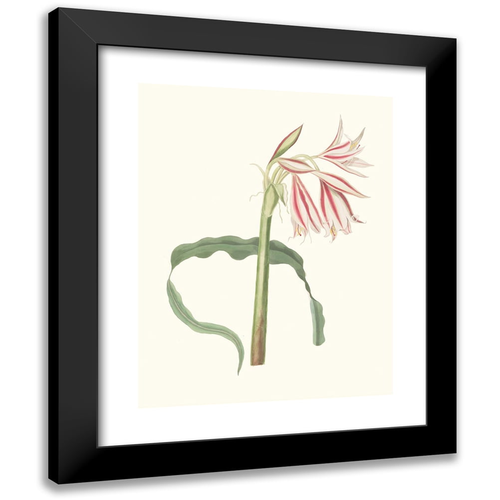 Priscilla Susan Bury 19x24 Black Modern Framed Museum Art Print Titled ...