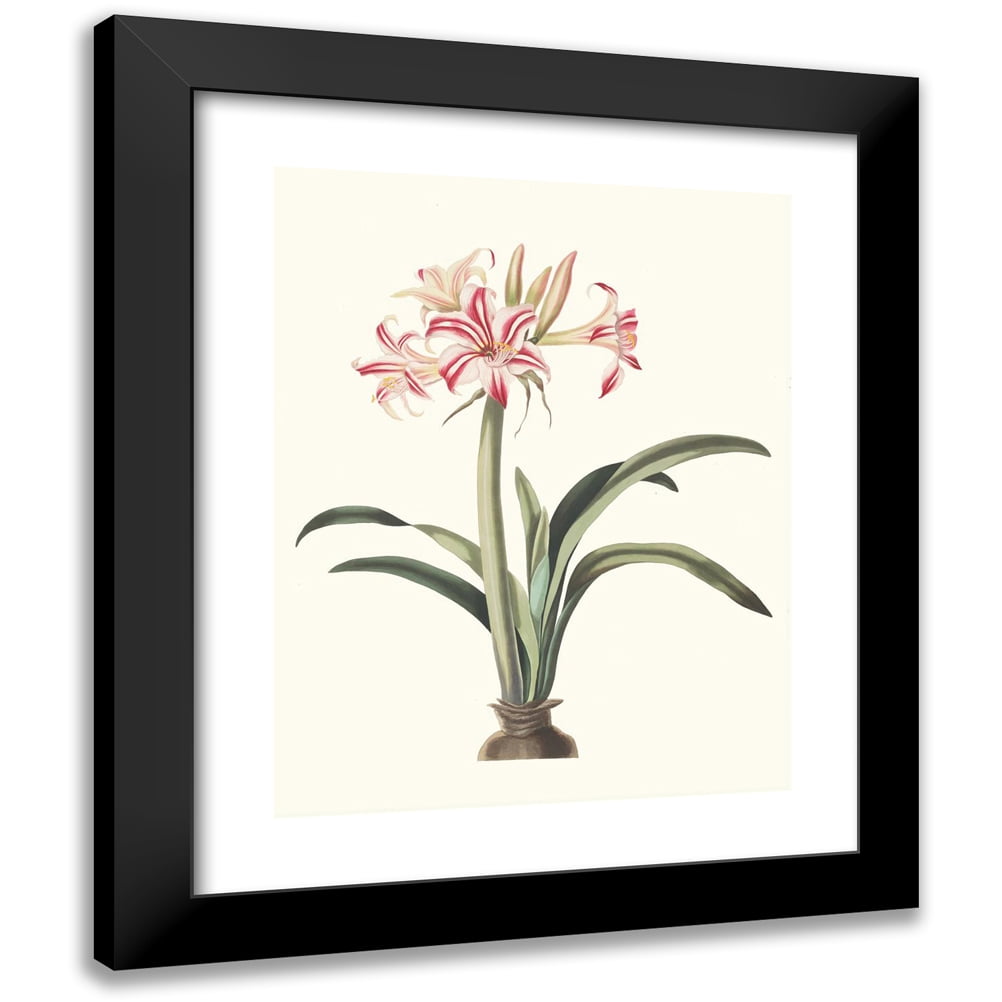 Priscilla Susan Bury 20x24 Black Modern Framed Museum Art Print Titled ...