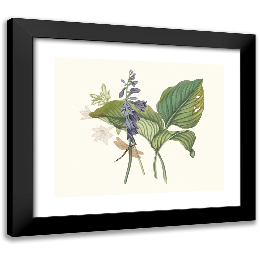 Priscilla Susan Bury 23x20 Black Modern Framed Museum Art Print Titled ...