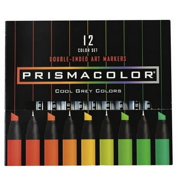 Tooli-Art Professional Acrylic Paint Markers for Rocks, Canvas, Mugs ...