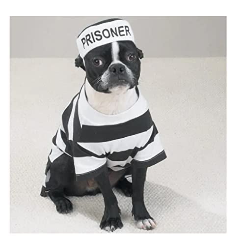 Prison Costume for Dogs Dress Your Pooch as Your Favorite Prisoner Bad ...