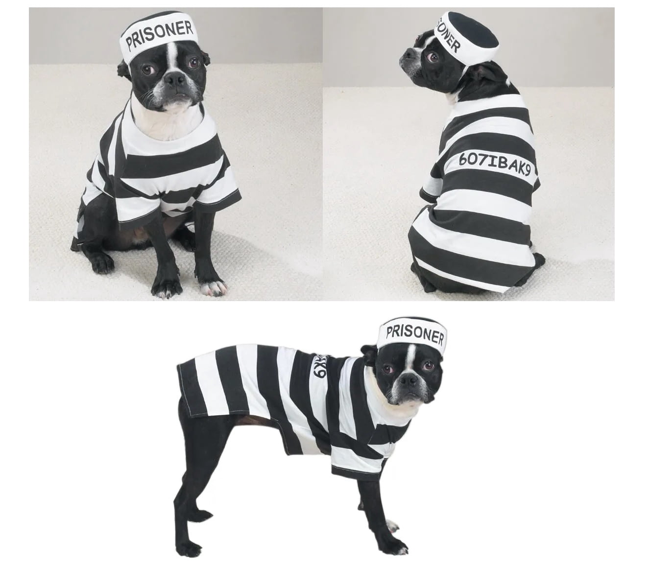 Prison Costume for Dogs Dress Your Pooch as Your Favorite Prisoner Bad ...
