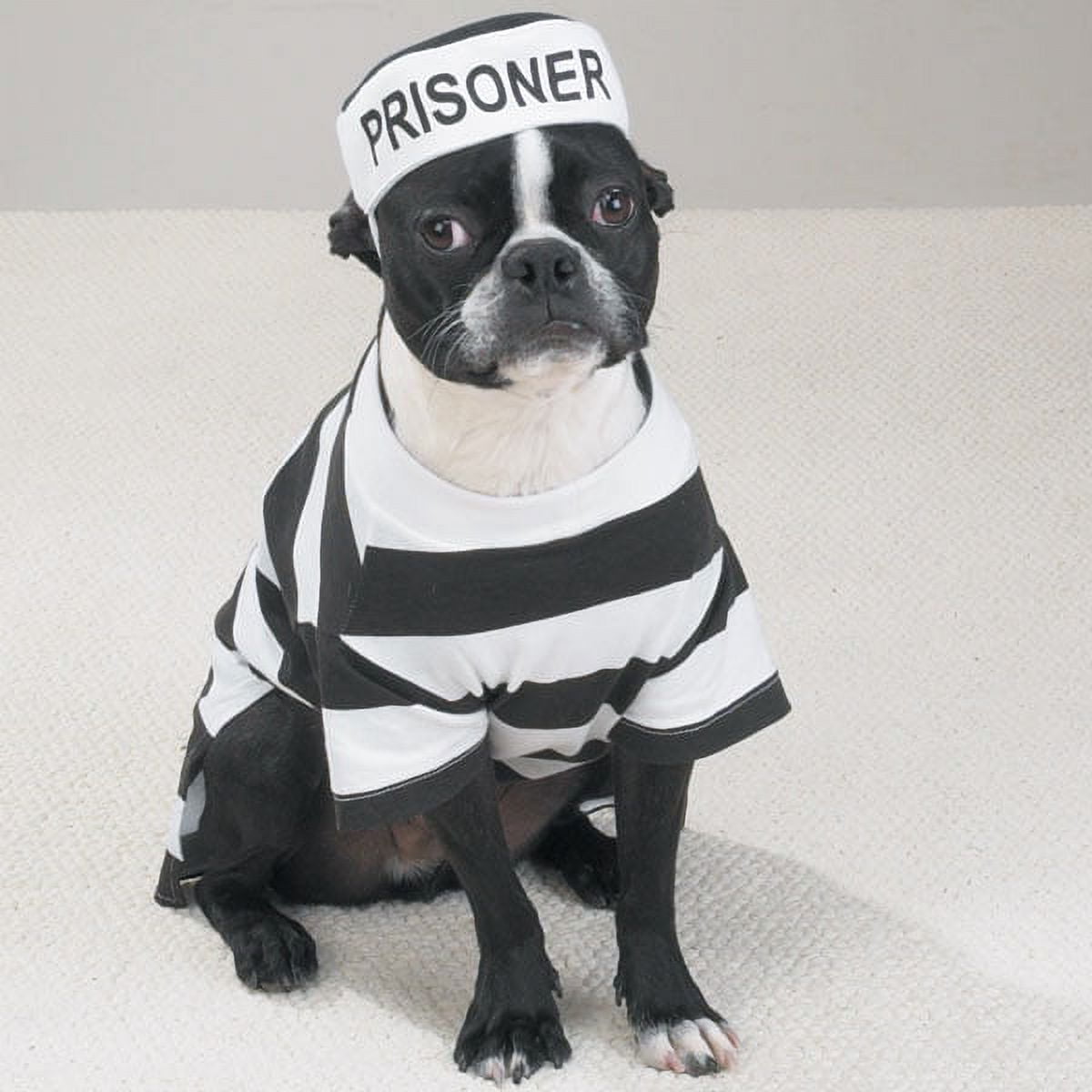Prison Costumes For Dogs Dress Your Pup Like a Prisoner in Stripes ...