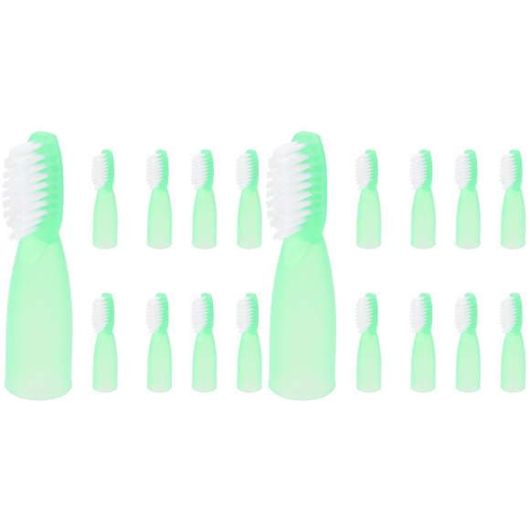 Disposable Toothbrushes
