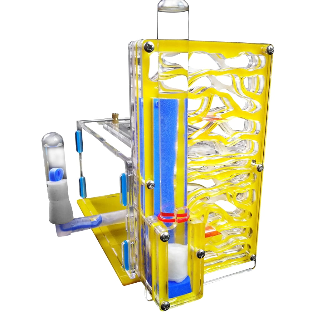 Pristin Ant House,Area Farm Villa Present Ant Birthday DIY Area Farm Ant SIUKE DIY Rookin Ajzar ...