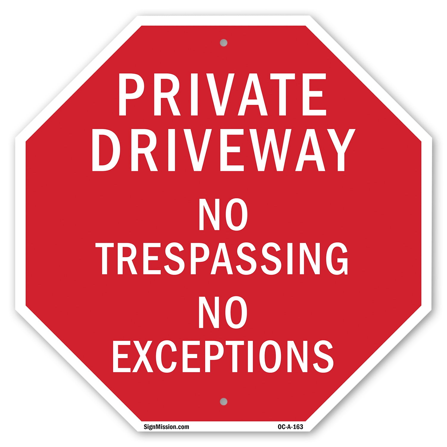 Private Driveway No Trespassing No Exceptions 10 inch X 10 inch Octagon ...