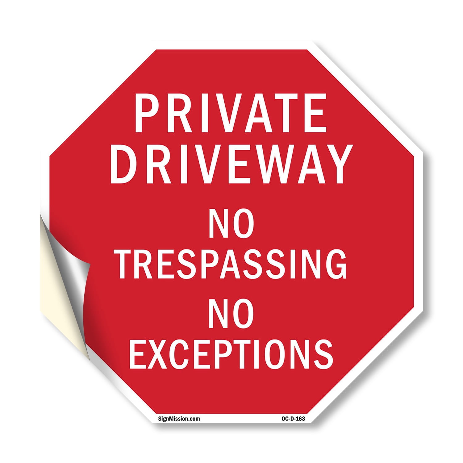 Private Driveway No Trespassing No Exceptions 10 inch X 10 inch Octagon ...