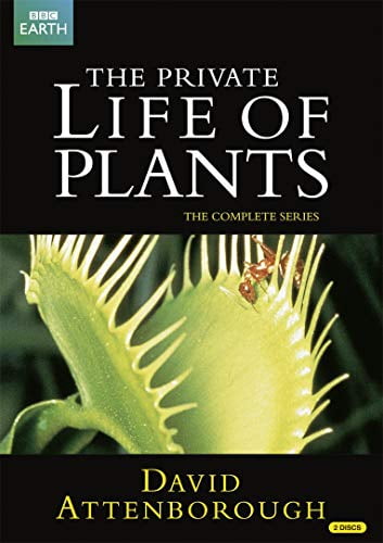Private Life Of Plants [DVD] - Walmart.com