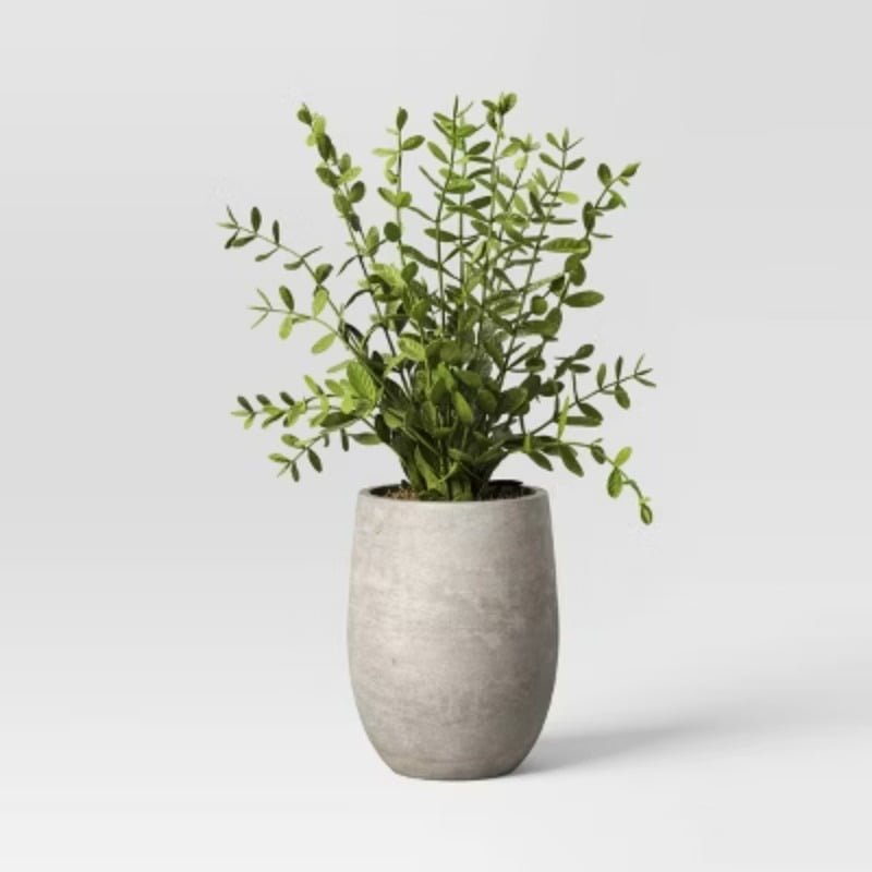 Privet Artificial Plant designed with Studio McGee: No-Maintenance ...